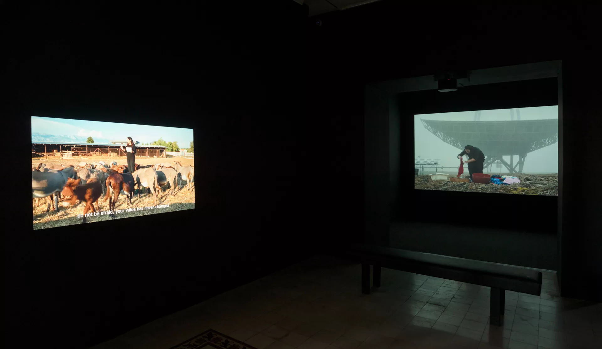 «أعزائي المشاهدين»: رائدة سعادة تحمل المرآة | حبر